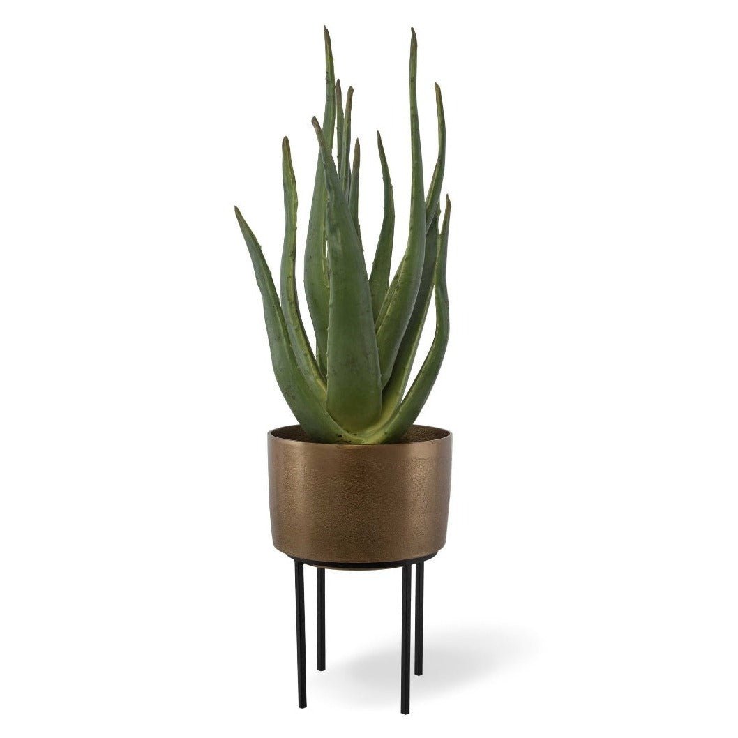 POTTED ALOE PLANT ON STAND | 20"DIA x 37"H – ShopDesignTap